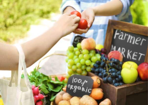 Explore Lake Tahoe's Farmers Markets - Lake Tahoe Travel Tips
